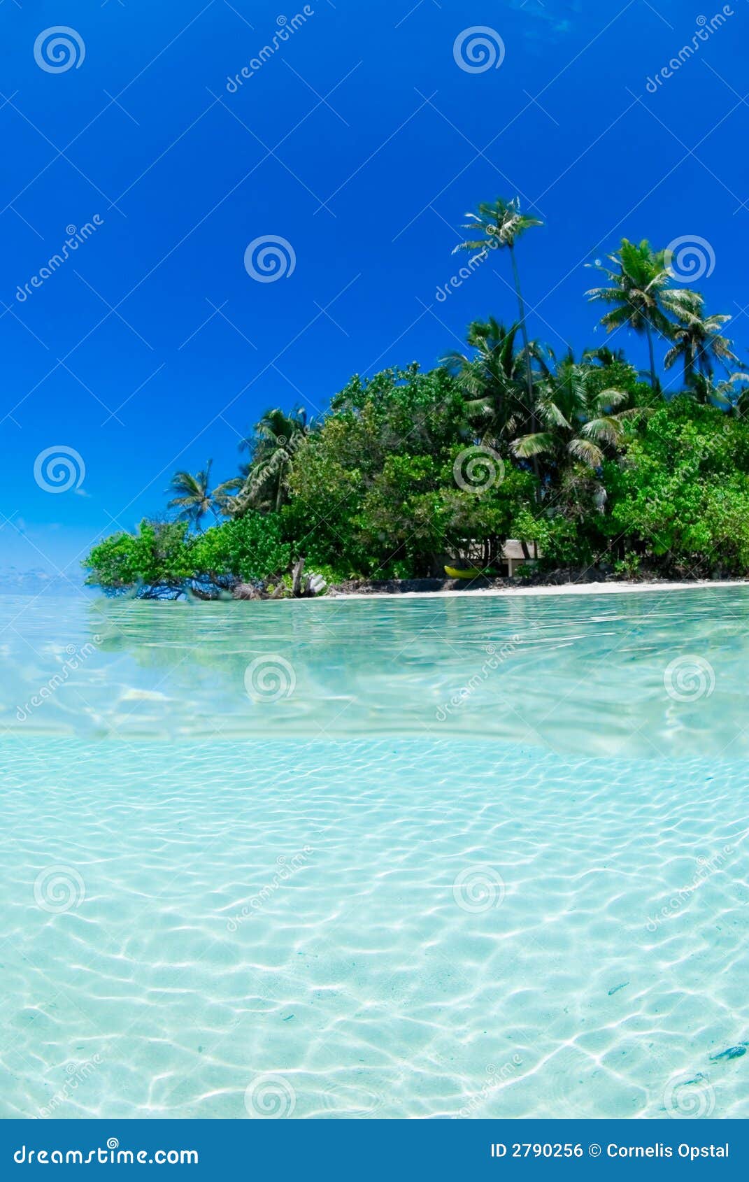 Split Shot of Tropical Island Stock Photo - Image of heaven, resort ...