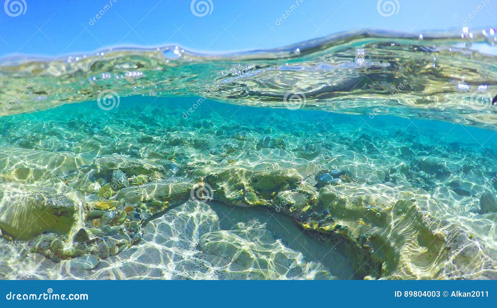 Split Underwater Pool Photo Of Rails And Ladder Stairs Stock ...