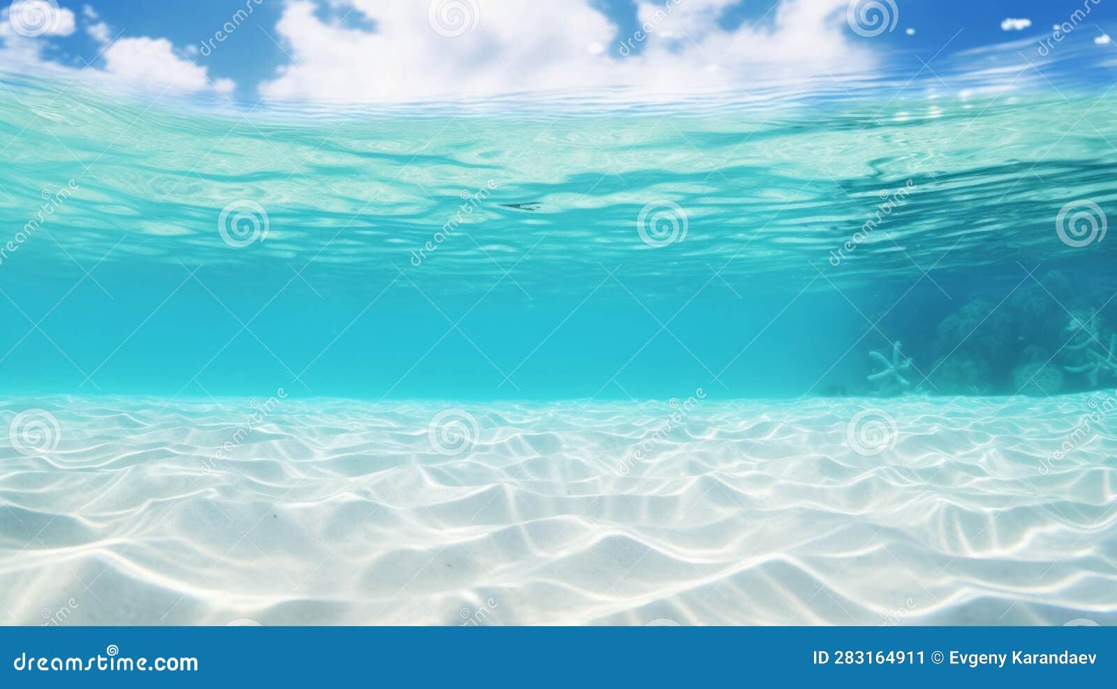 Split Underwater View With Sunny Sky And Serene Sea Royalty-Free Stock ...