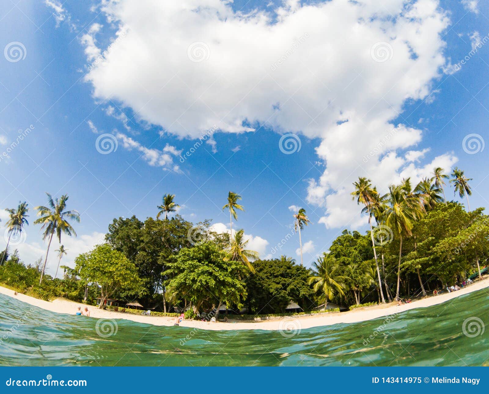 Split Underwater Pool Photo Of Rails And Ladder Stairs Stock ...