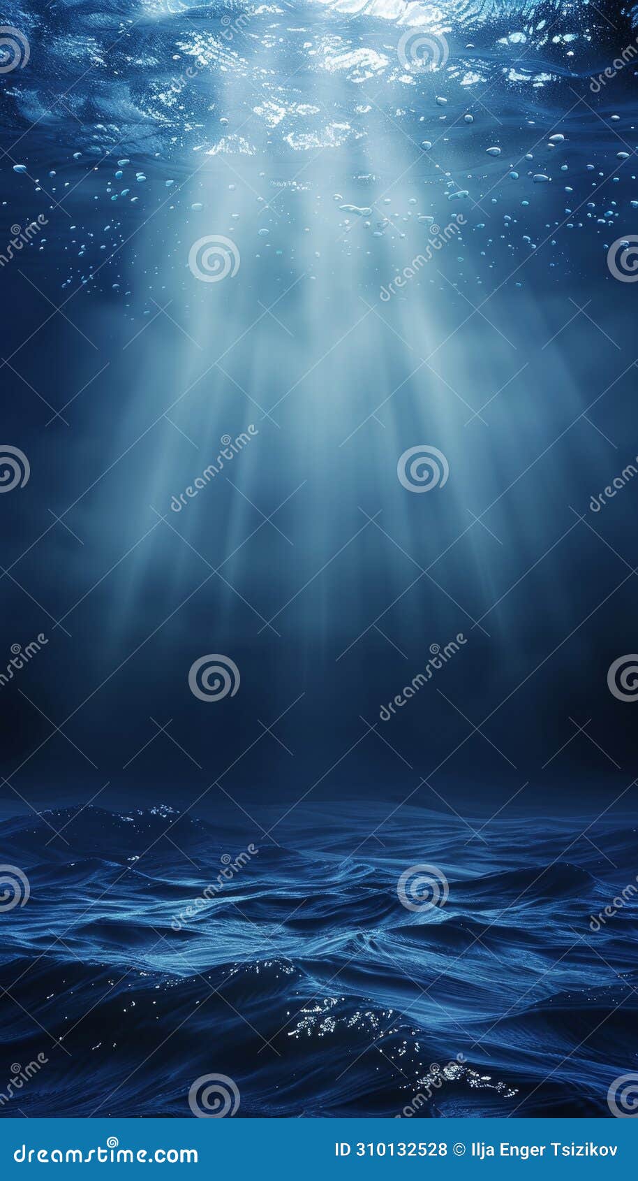 Split View of the Sea Above and Below Water Surface with Marine Life ...