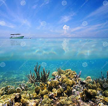 Split View Sky and Ocean Floor Stock Image - Image of abstract, fish ...