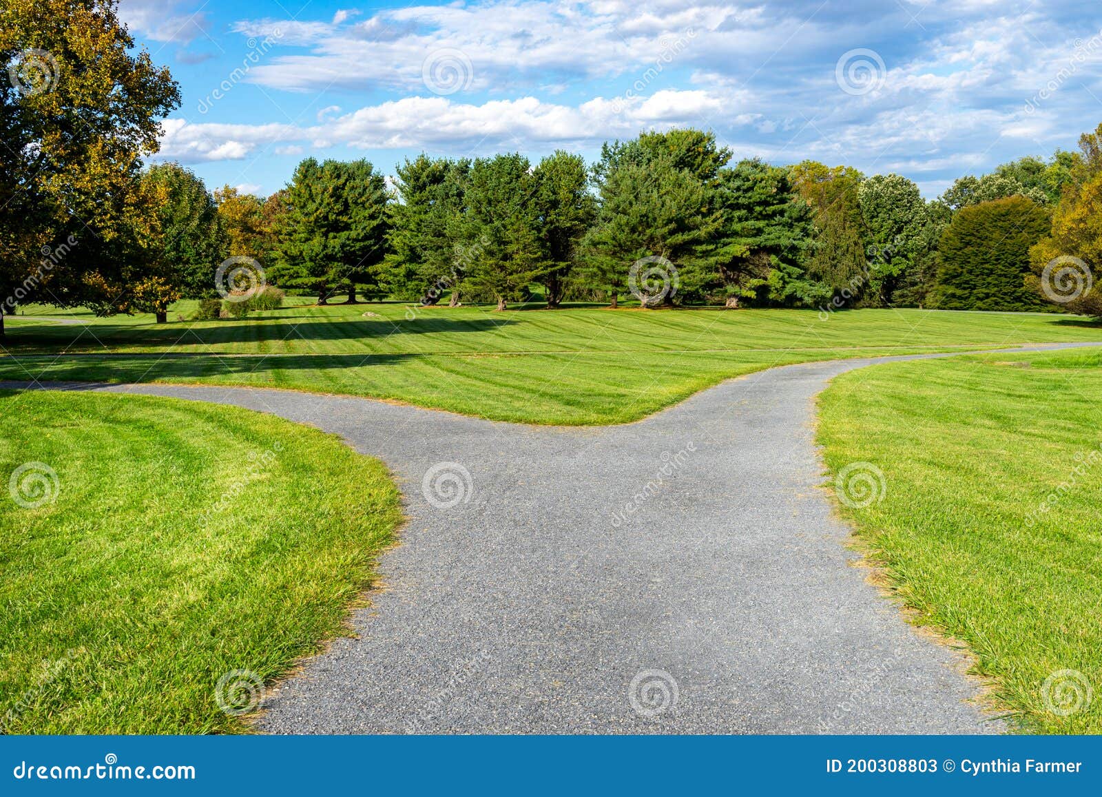Split Walking Path in a Park with Grass and Trees Stock Image - Image ...
