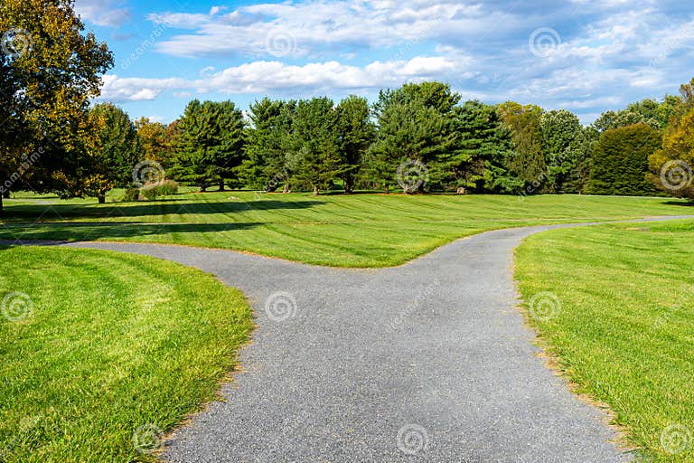 Split Walking Path in a Park with Grass and Trees Stock Image - Image ...