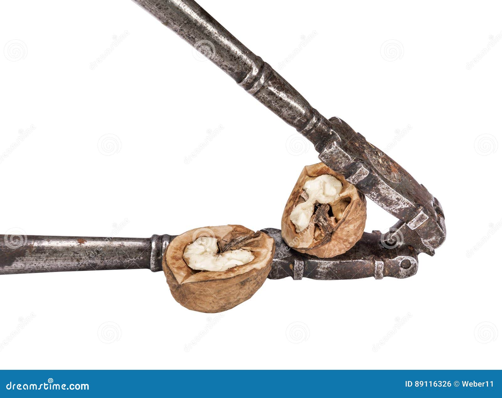 Split a Walnut in Nutcracker Stock Photo - Image of seed, split: 89116326