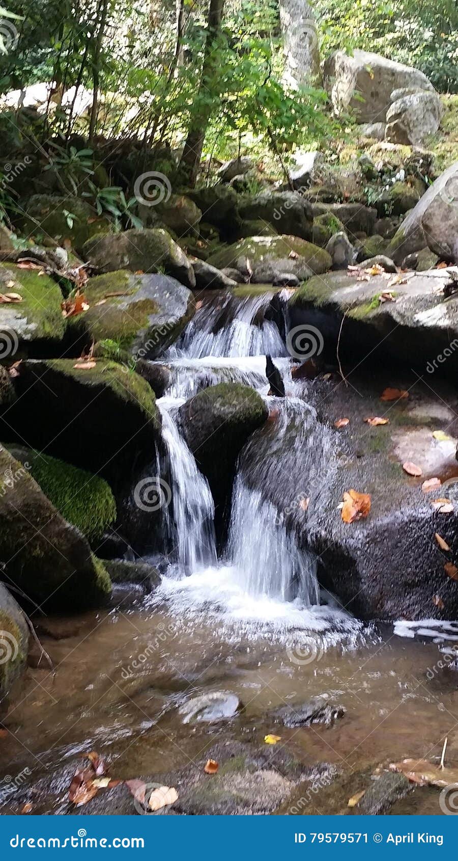 Split Waterfall Rushing Stock Photos - Free & Royalty-Free Stock Photos ...