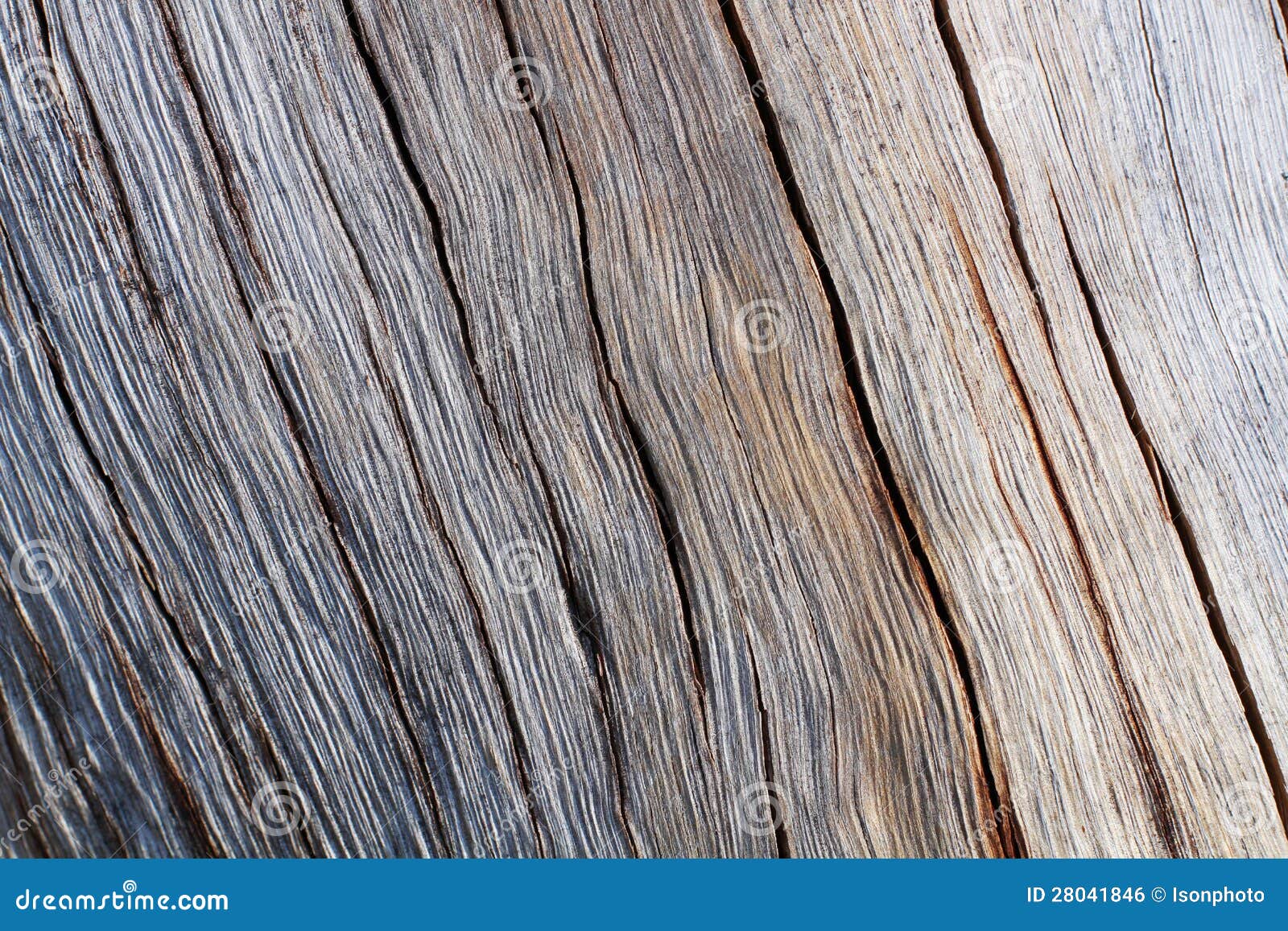 Split wood stock photo. Image of nature, wood, timber - 28041846
