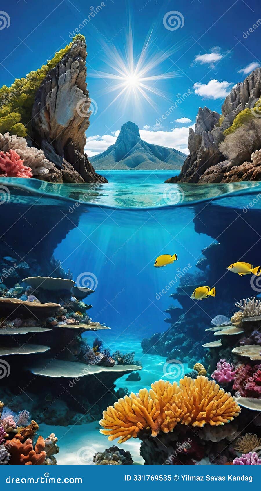 Split World.A Captivating Image Showcasing The Contrast Between The ...