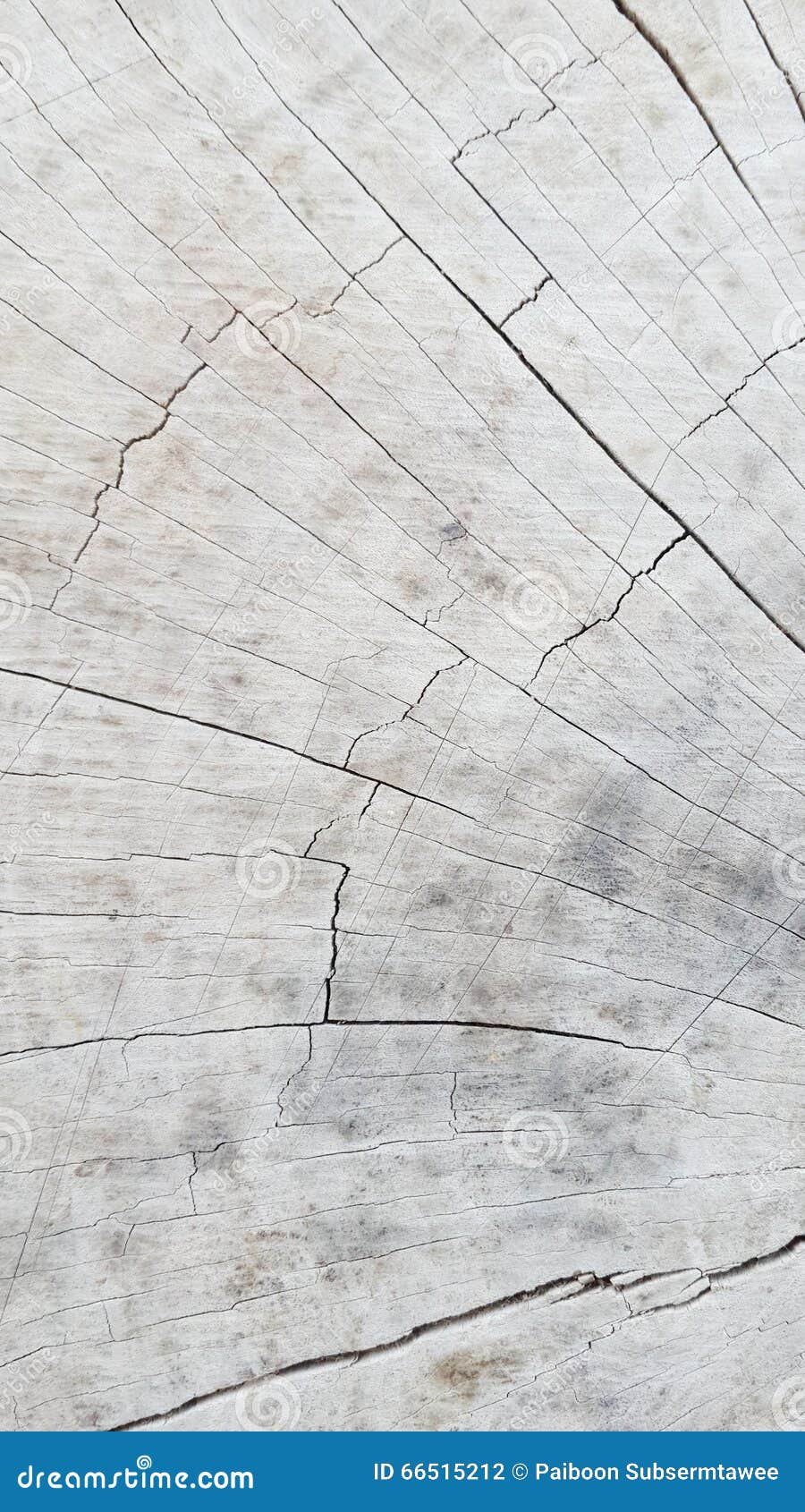Splits and Cracks in the Timber Wallpaper Stock Photo - Image of ...