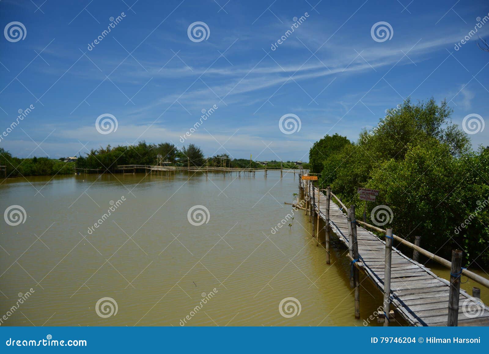 Splitting the Clouds in Mangrove Forest Stock Photo - Image of clouds ...