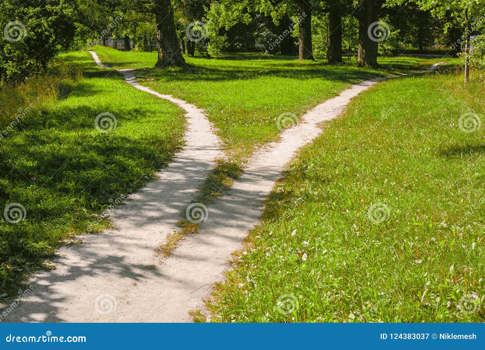 Splitting the Footpath in the Park Stock Image - Image of footway ...