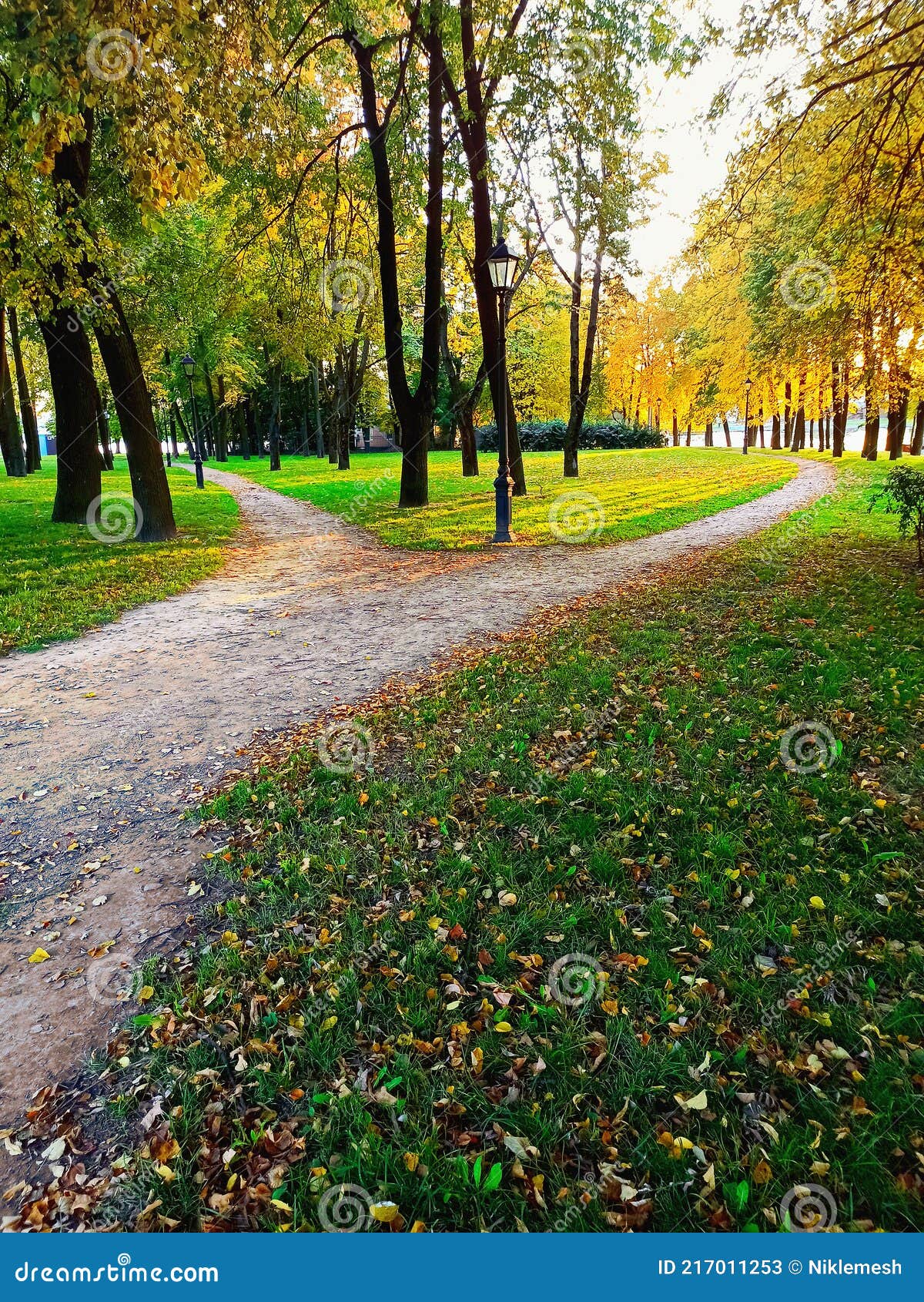 Splitting Walking Path in the Park, Evening Landscape in the Rays of ...