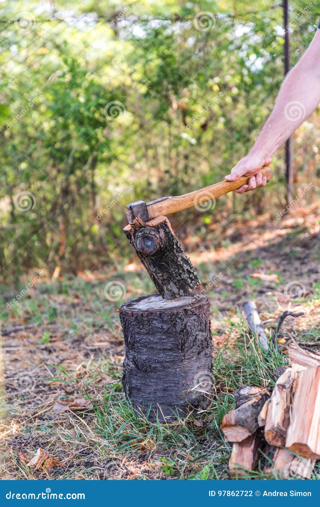 Splitting wood stock photo. Image of bark, timber, people - 97862722