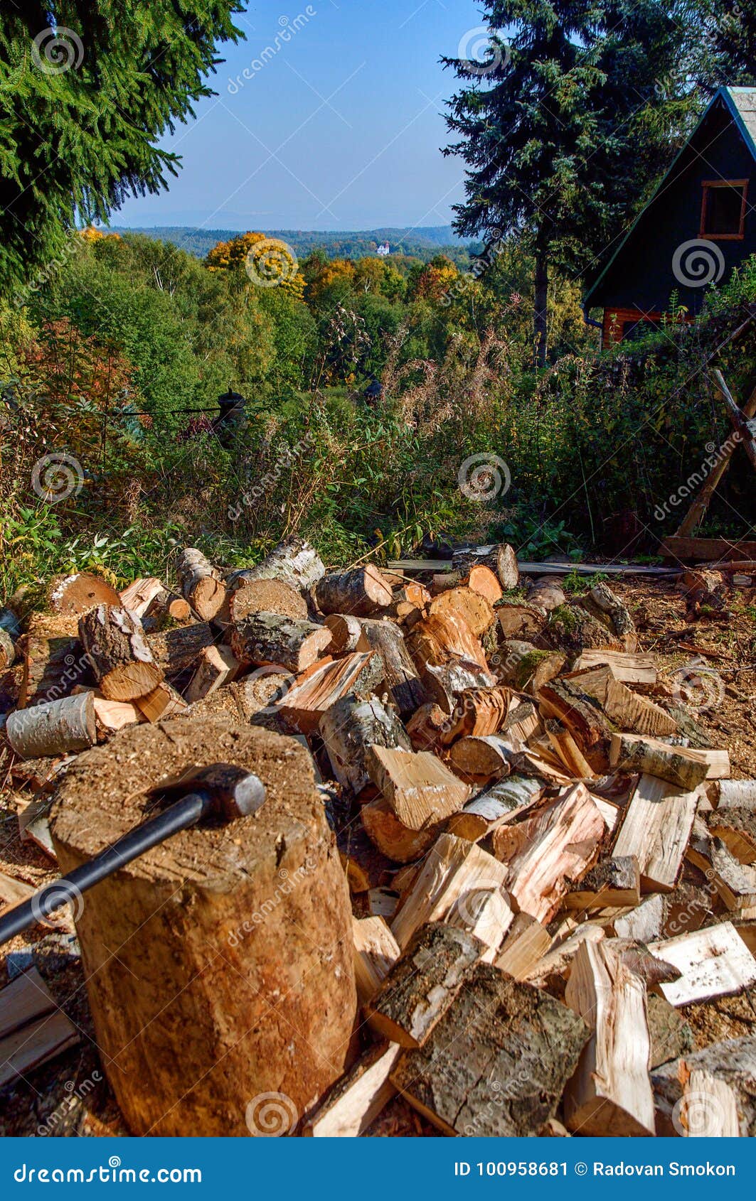 Splitting wood stock image. Image of pine, fire, industry - 100958681