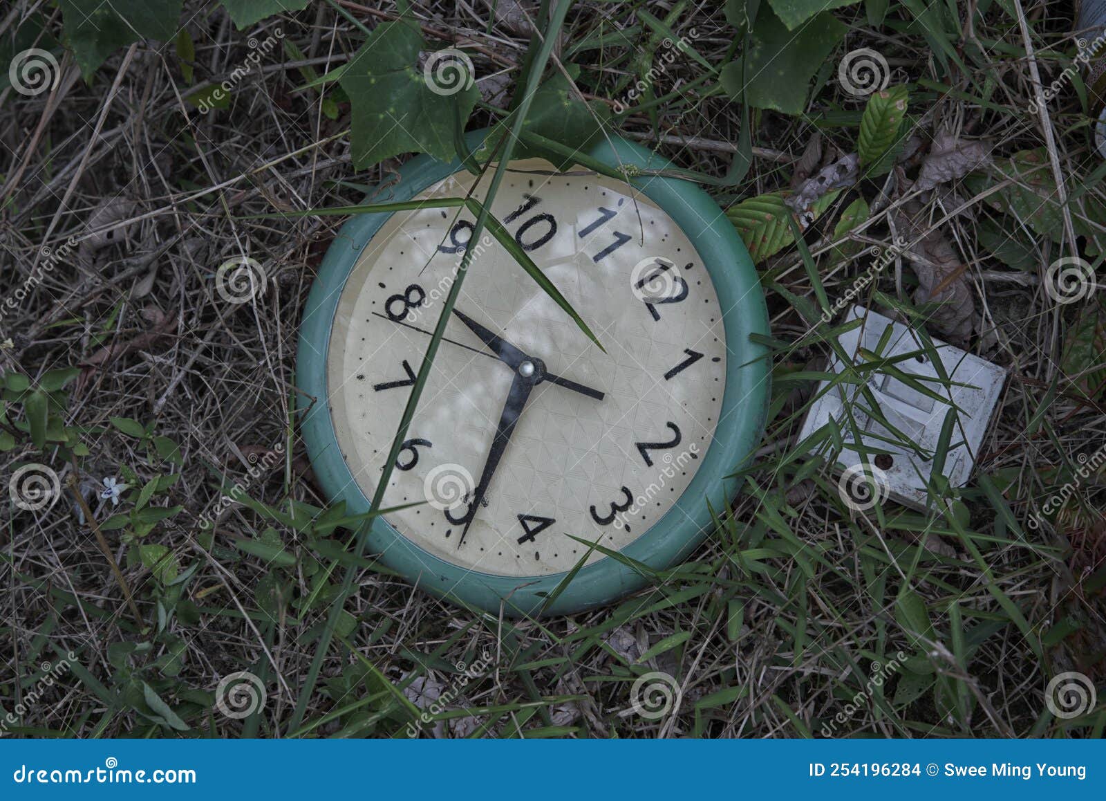 Spoiled Analog Round Clock Thrown in the Bush. Stock Photo - Image of ...