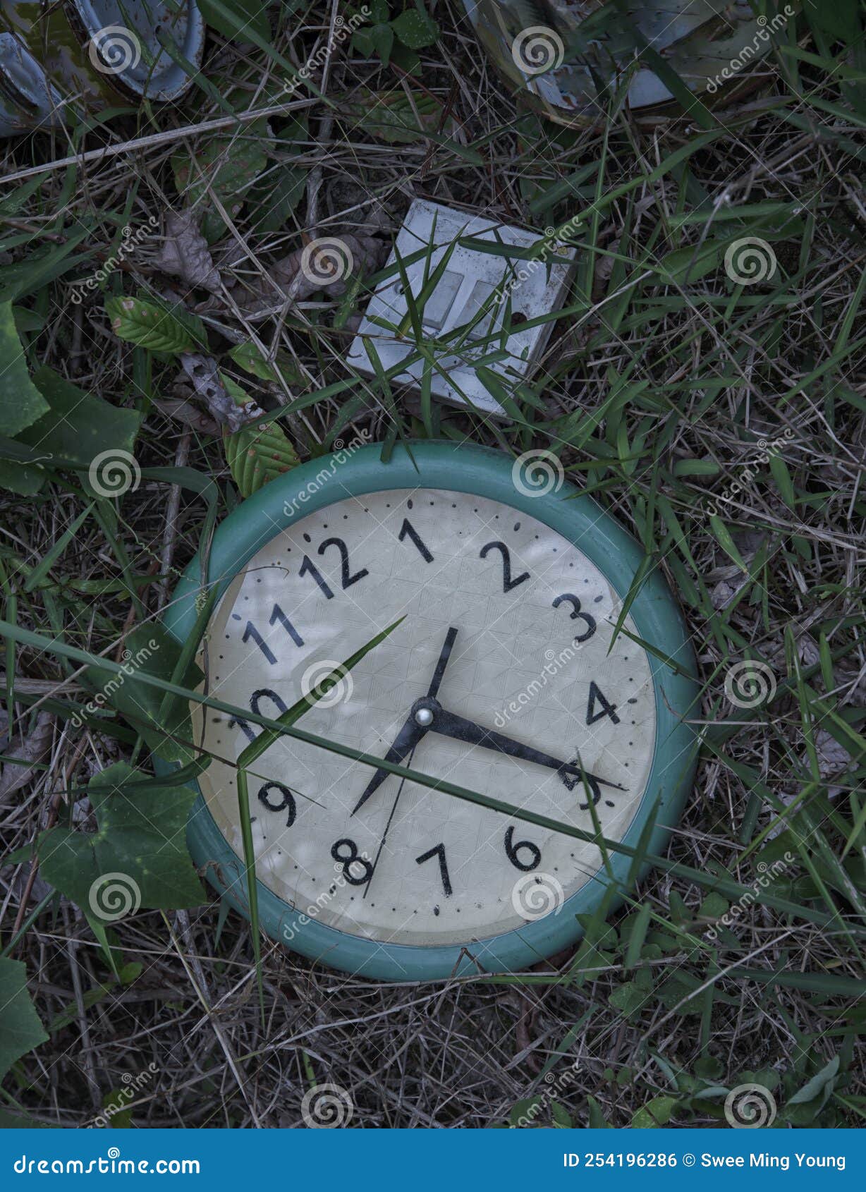 Old Thrown Round Concrete Flowerbed, Overgrown With Weeds Stock ...