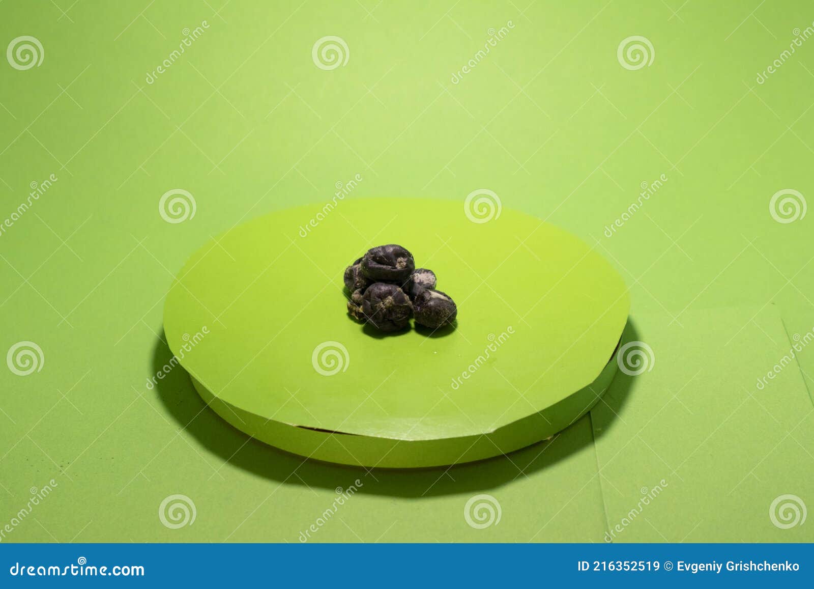 Spoiled Blueberry Isolated Chromakey Mold Decomposing Storage Stock ...