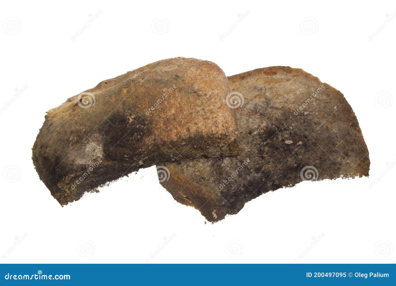 Spoiled Bread Isolated on White Background Stock Image - Image of ...
