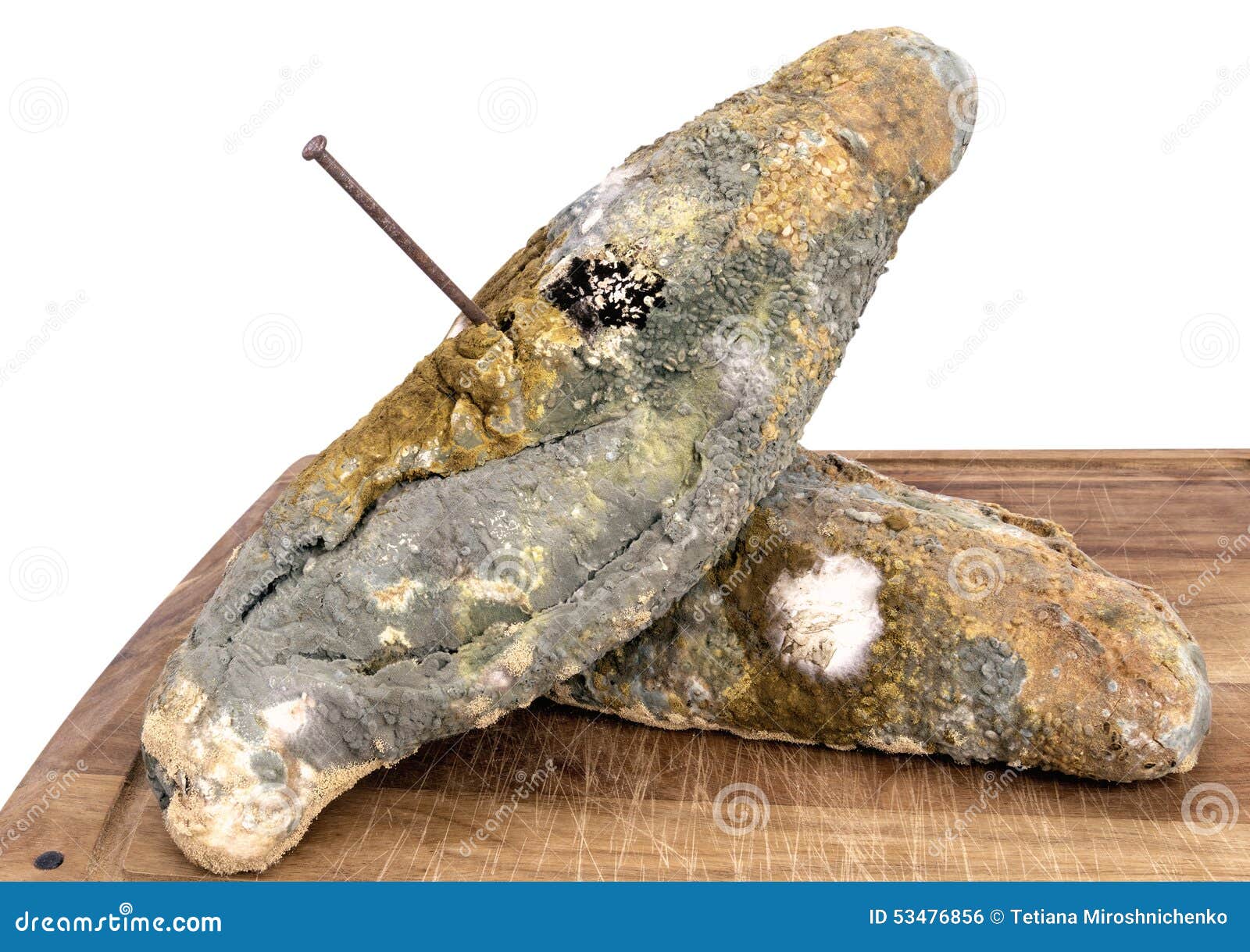 Spoiled bread and nail stock photo. Image of biology - 53476856