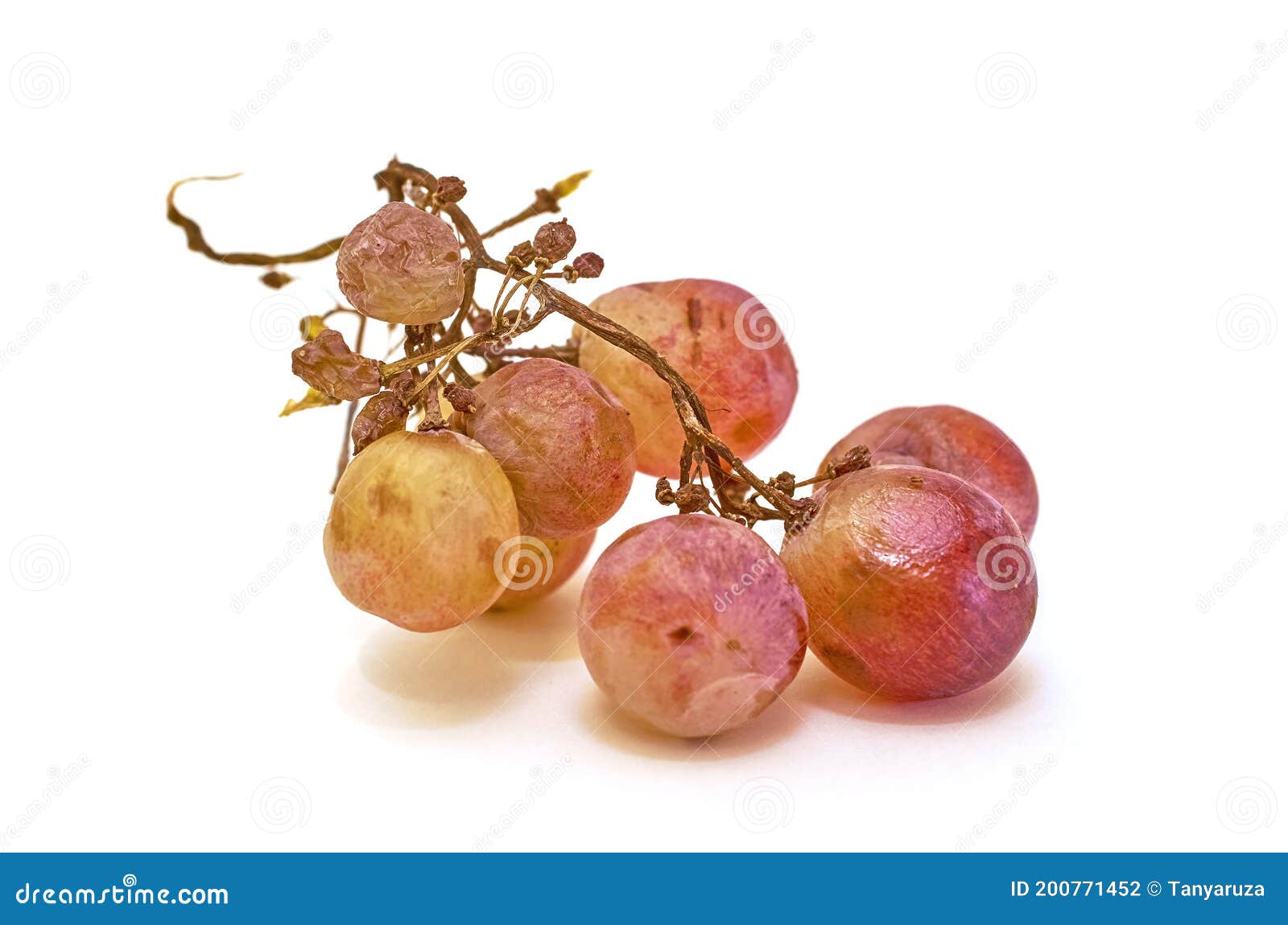 Spoiled Grapes On Table Stock Photography | CartoonDealer.com #78335276