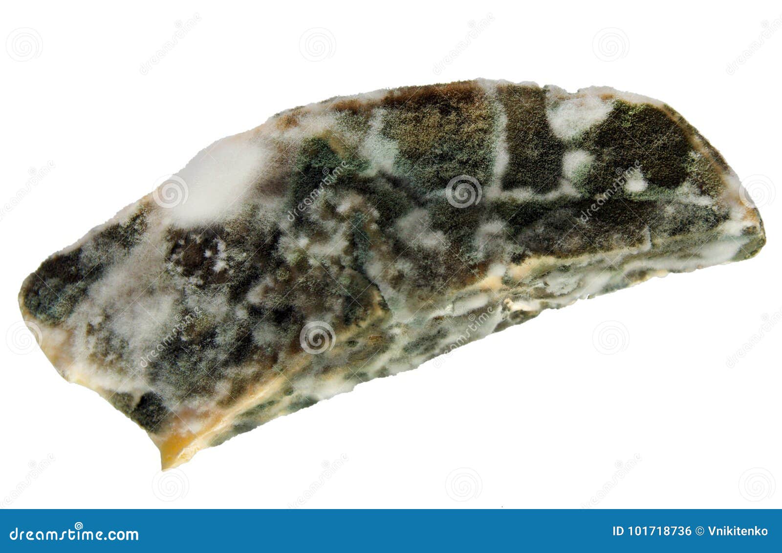 Spoiled cheese with mold stock photo. Image of isolated - 101718736