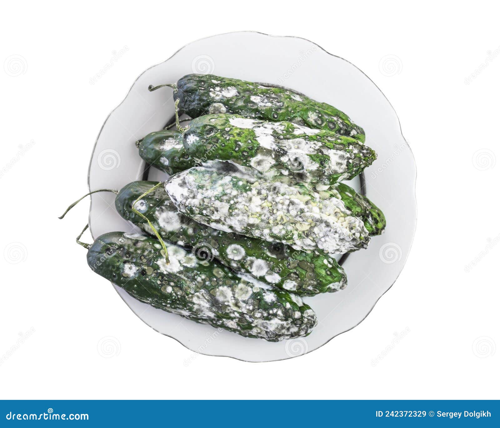 Spoiled Cucumbers Stock Photos - Free & Royalty-Free Stock Photos from ...