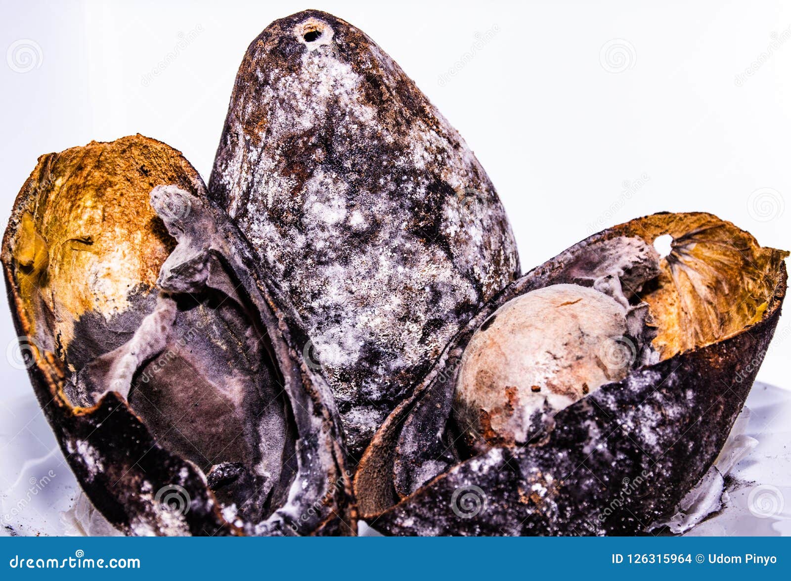 Spoiled fruit stock photo. Image of decay, natural, eating - 126315964