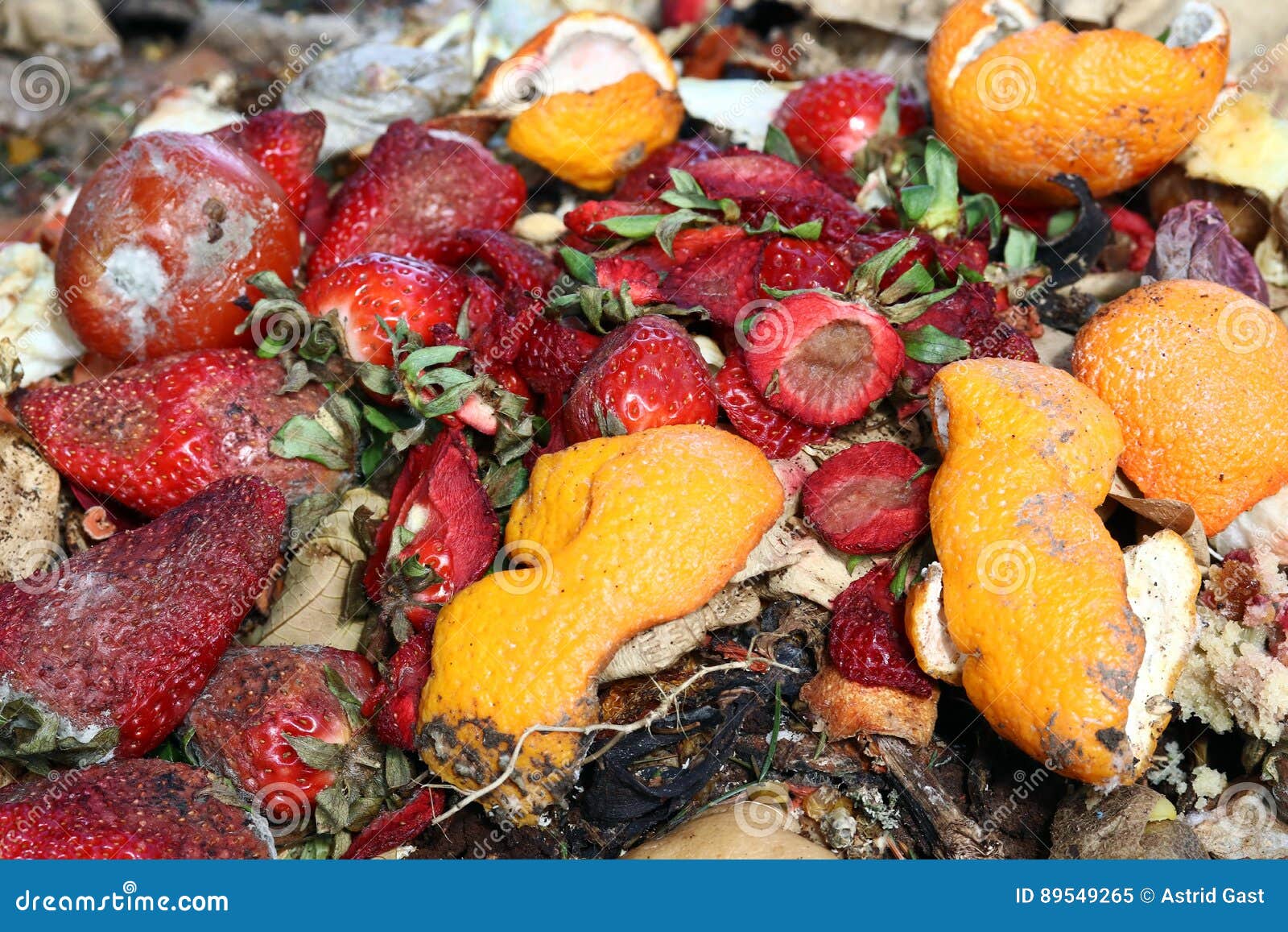 Rotten Fruit And Vegetables