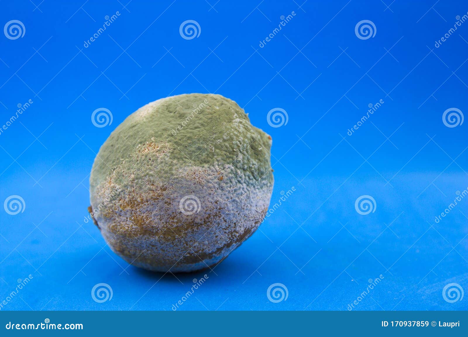 A Spoiled Lemon for Consumption that Has Mold on Its Surface on a Blue ...