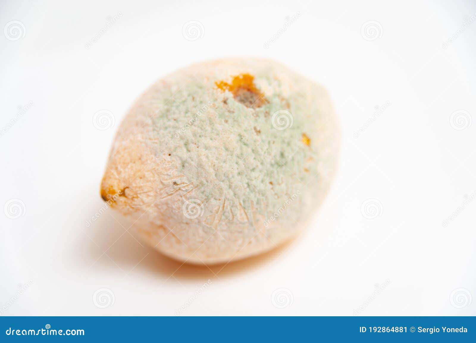 Decaying Lemon Slice On White Background Royalty-Free Stock Image ...