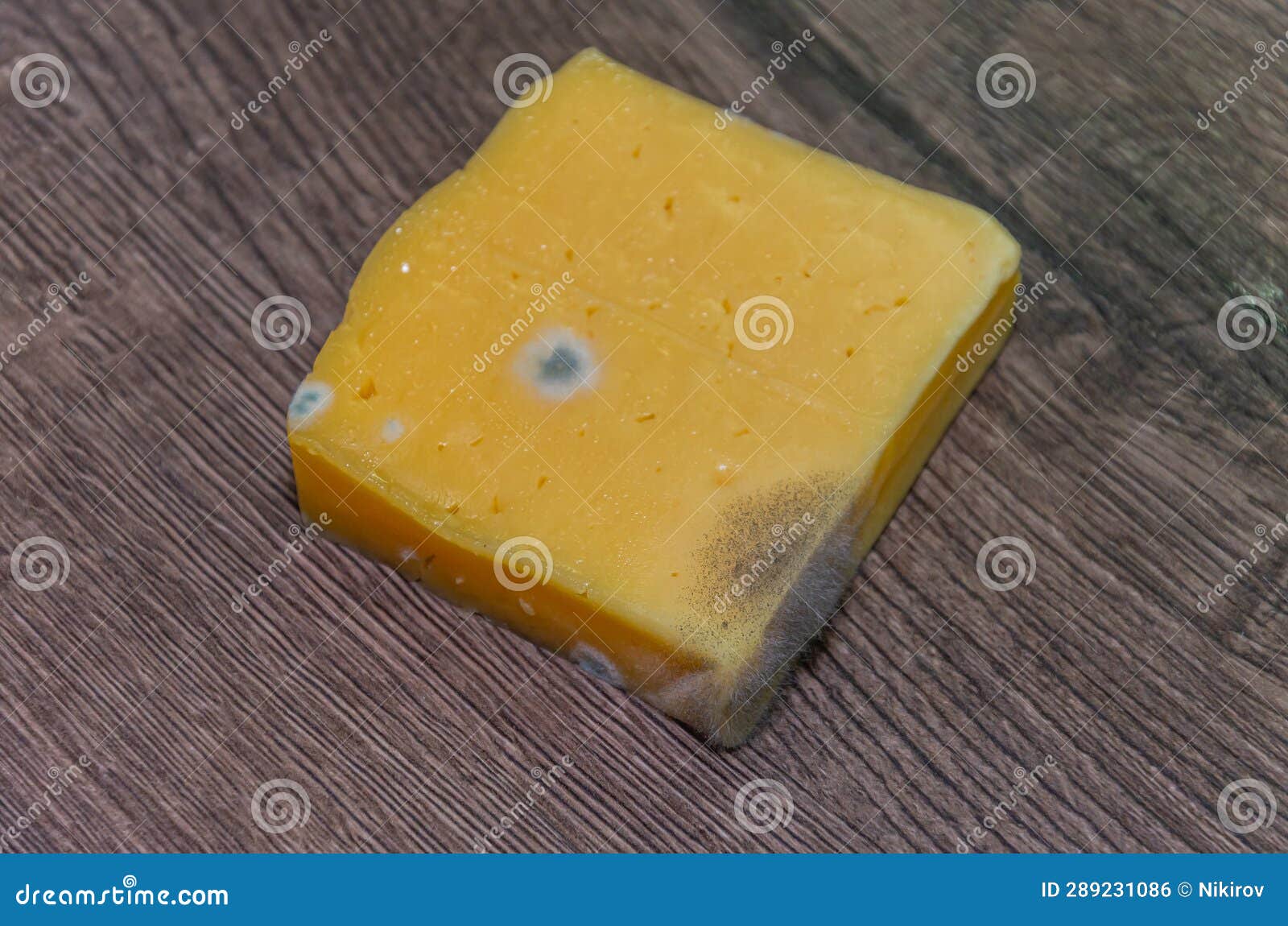 Spoiled Moldy Cheese on the Table Stock Photo - Image of spoiled, table ...