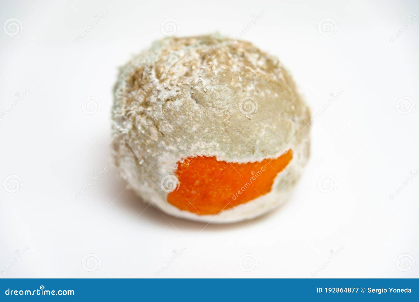 Spoiled Orange Isolated on White Background. Decaying Orange Stock ...