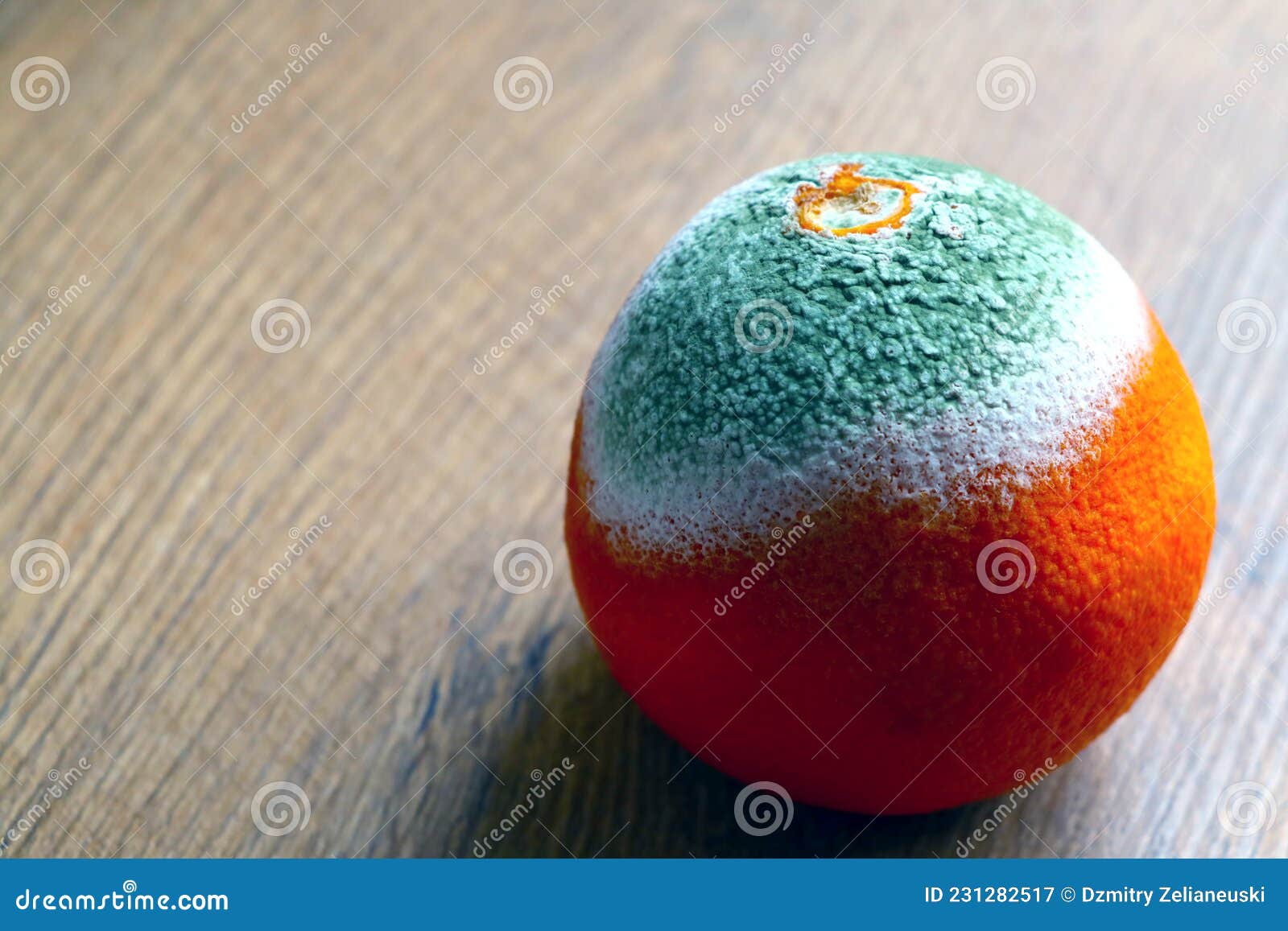 Spoiled Orange on the Table, Food, Fruit Stock Image - Image of health ...