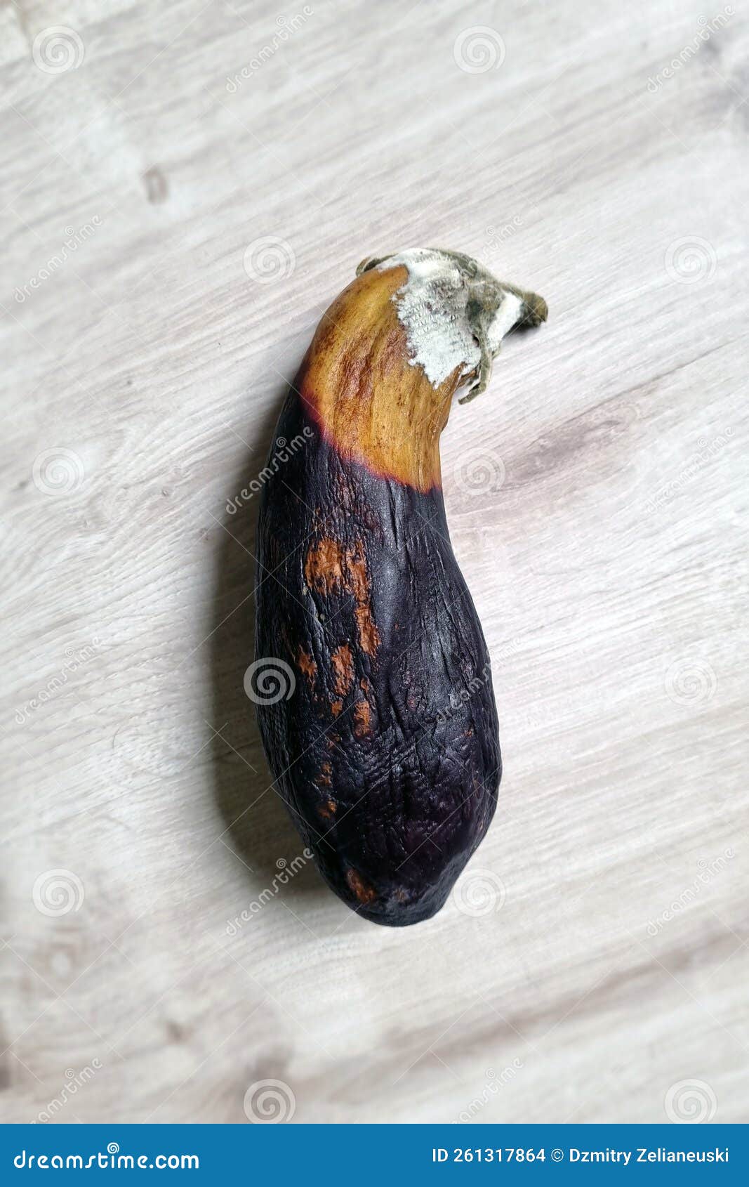 Spoiled Products. There is a Bad Eggplant on the Table. Stock Photo - Image of outside, ugly ...