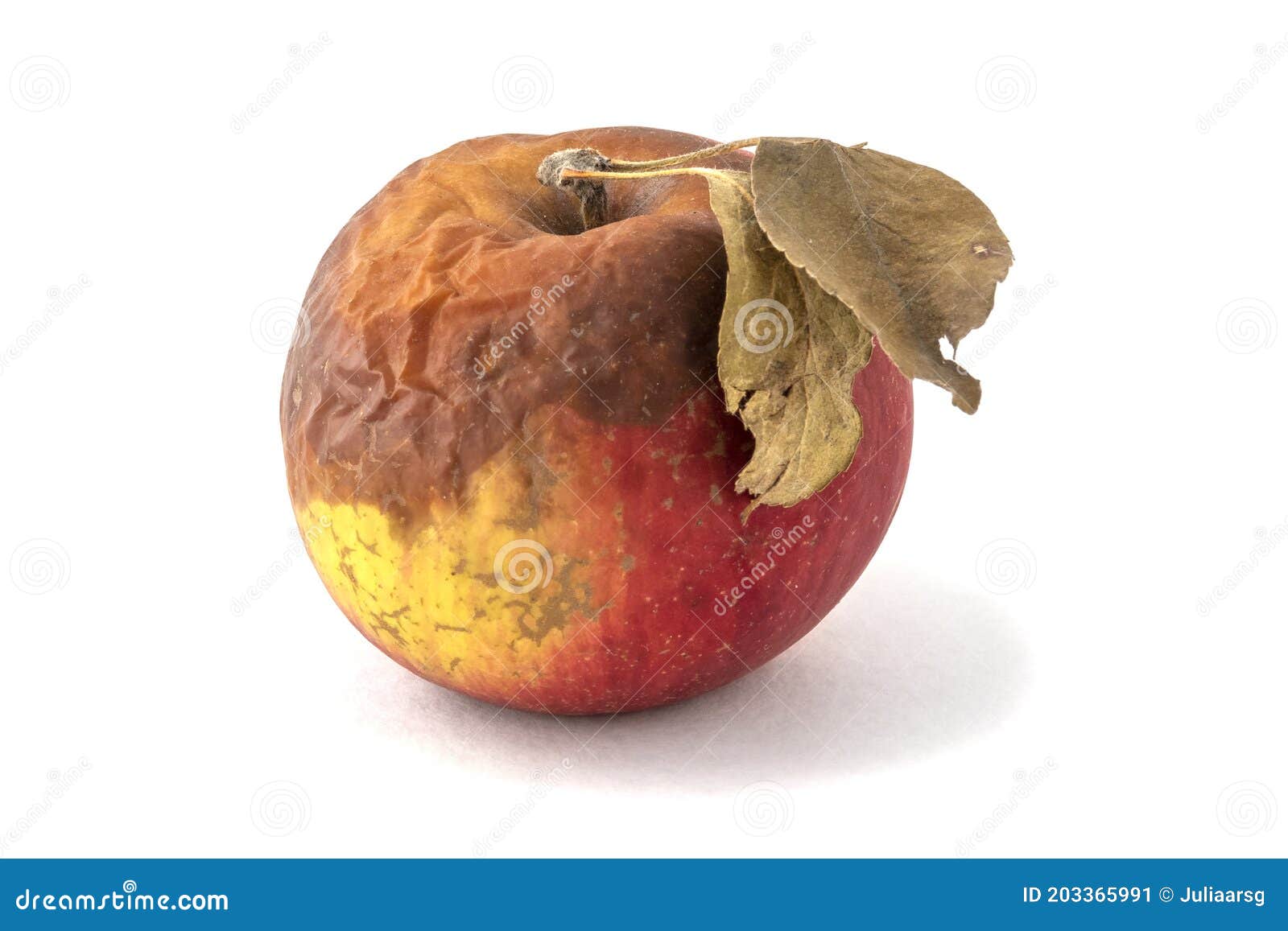 Spoiled Red Apple with 2 Dry Leaves Isolated on White Background Stock ...