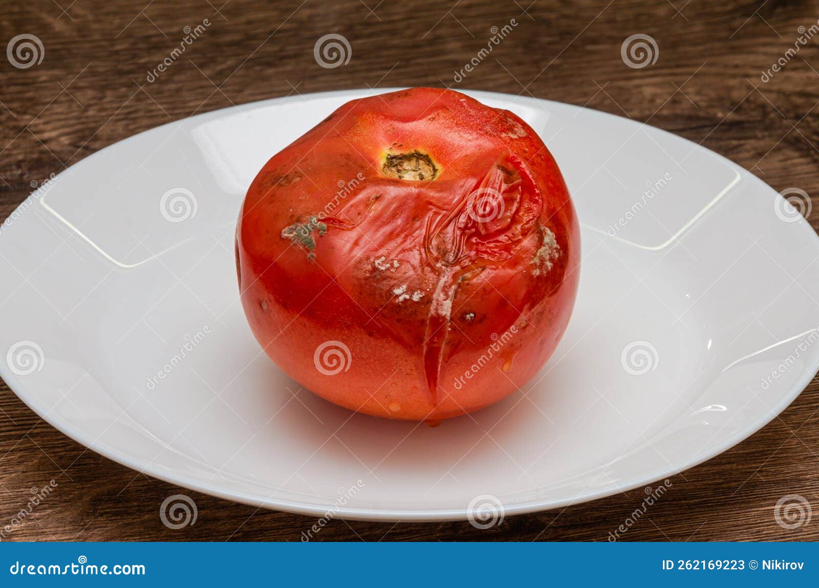 Spoiled Rotten with Moldy Tomato on a Plate Stock Image - Image of ...