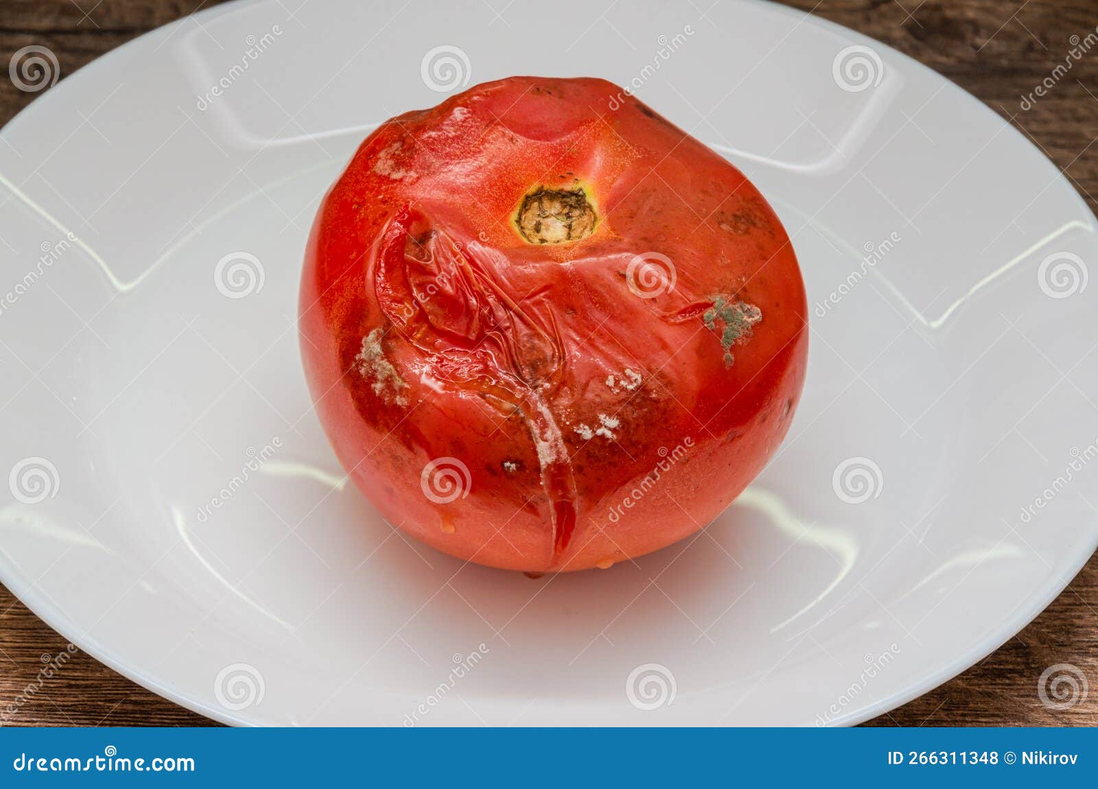 Spoiled Rotten with Moldy Tomato on a Plate Stock Photo - Image of ...