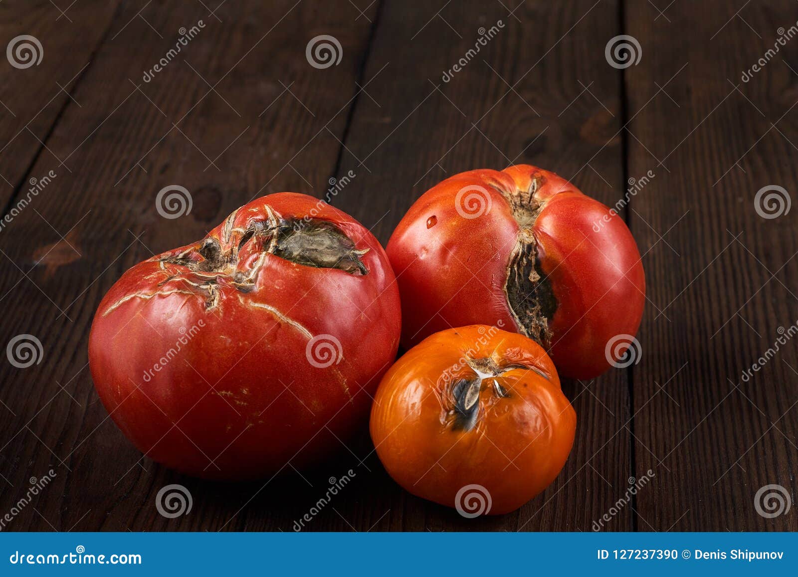 Spoiled Three Tomatoes on a Dark Wooden Background. Stock Photo - Image ...