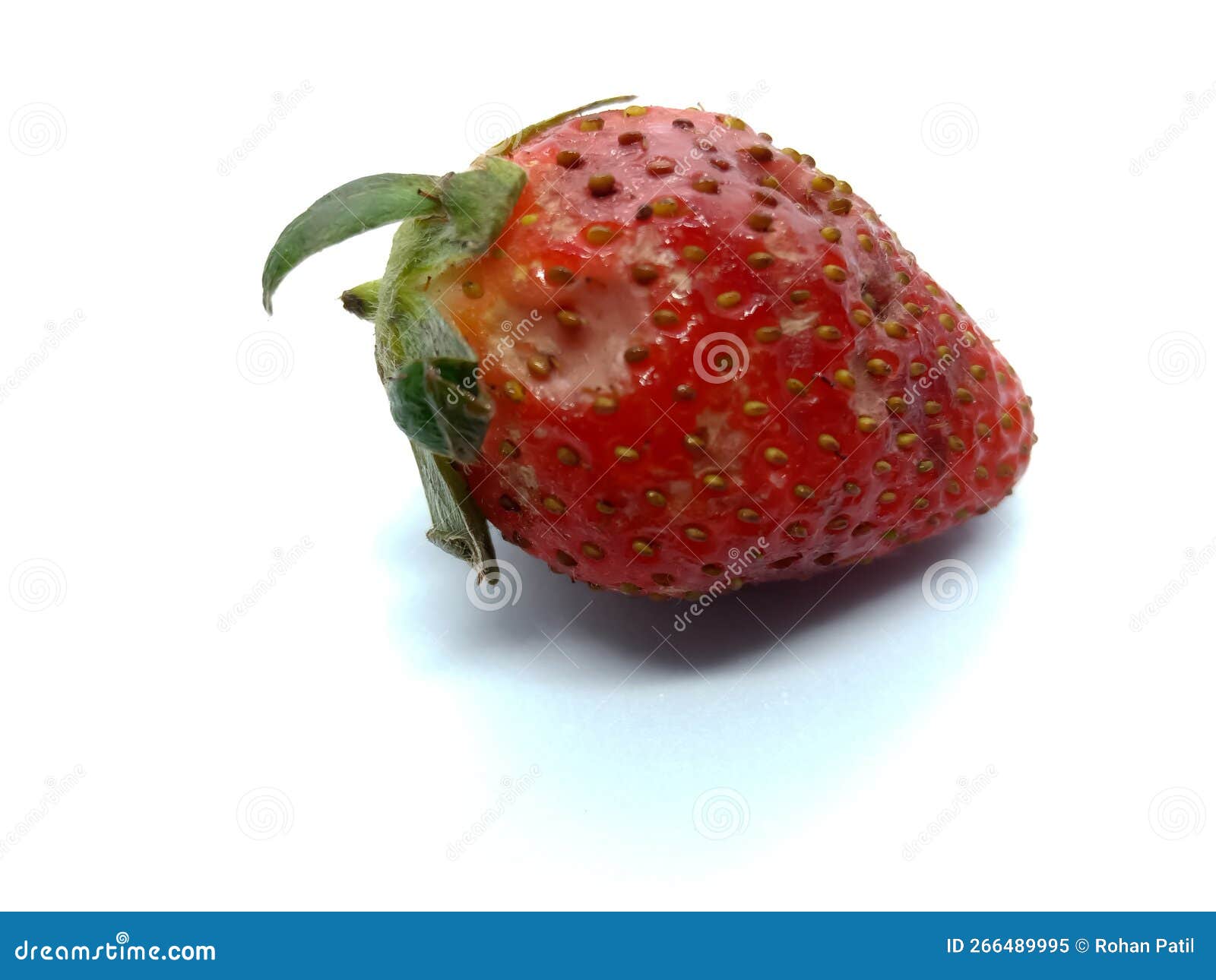 Spoiled Strawberry Fruit Isolated on White Background Stock Image ...