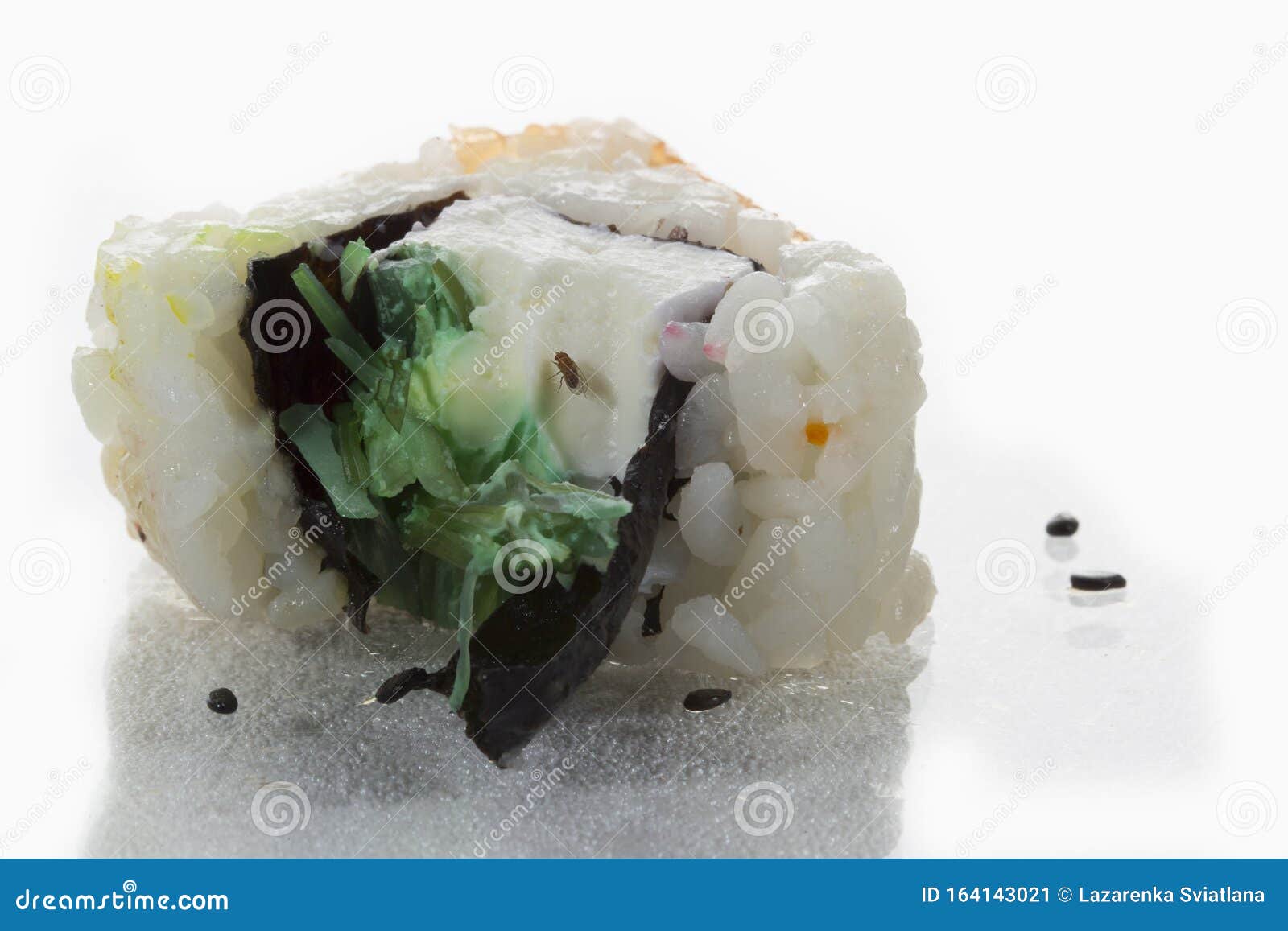 Spoiled sushi with a fly stock image. Image of large - 164143021