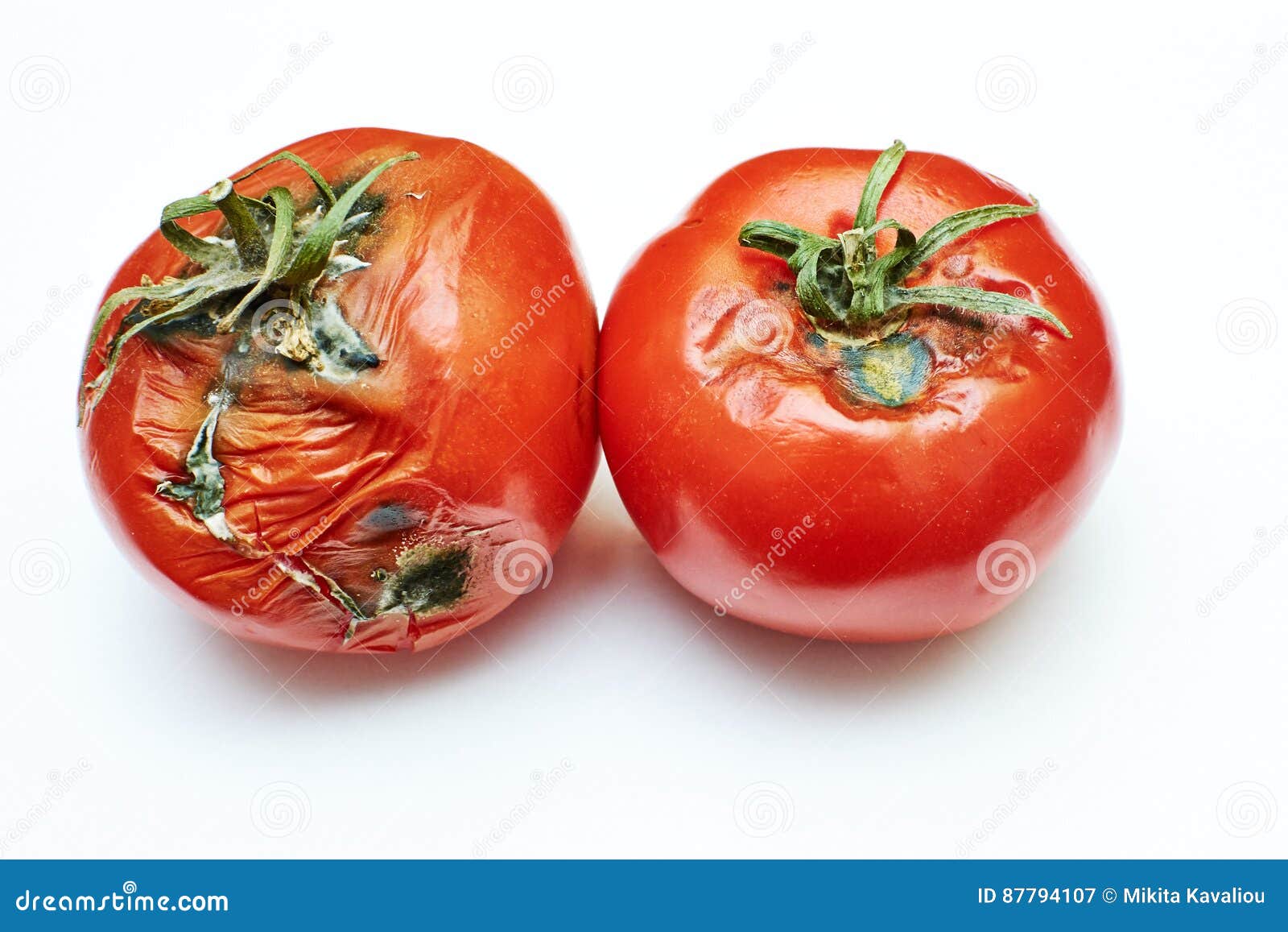 Spoiled tomato stock image. Image of damaged, peccant - 87794107