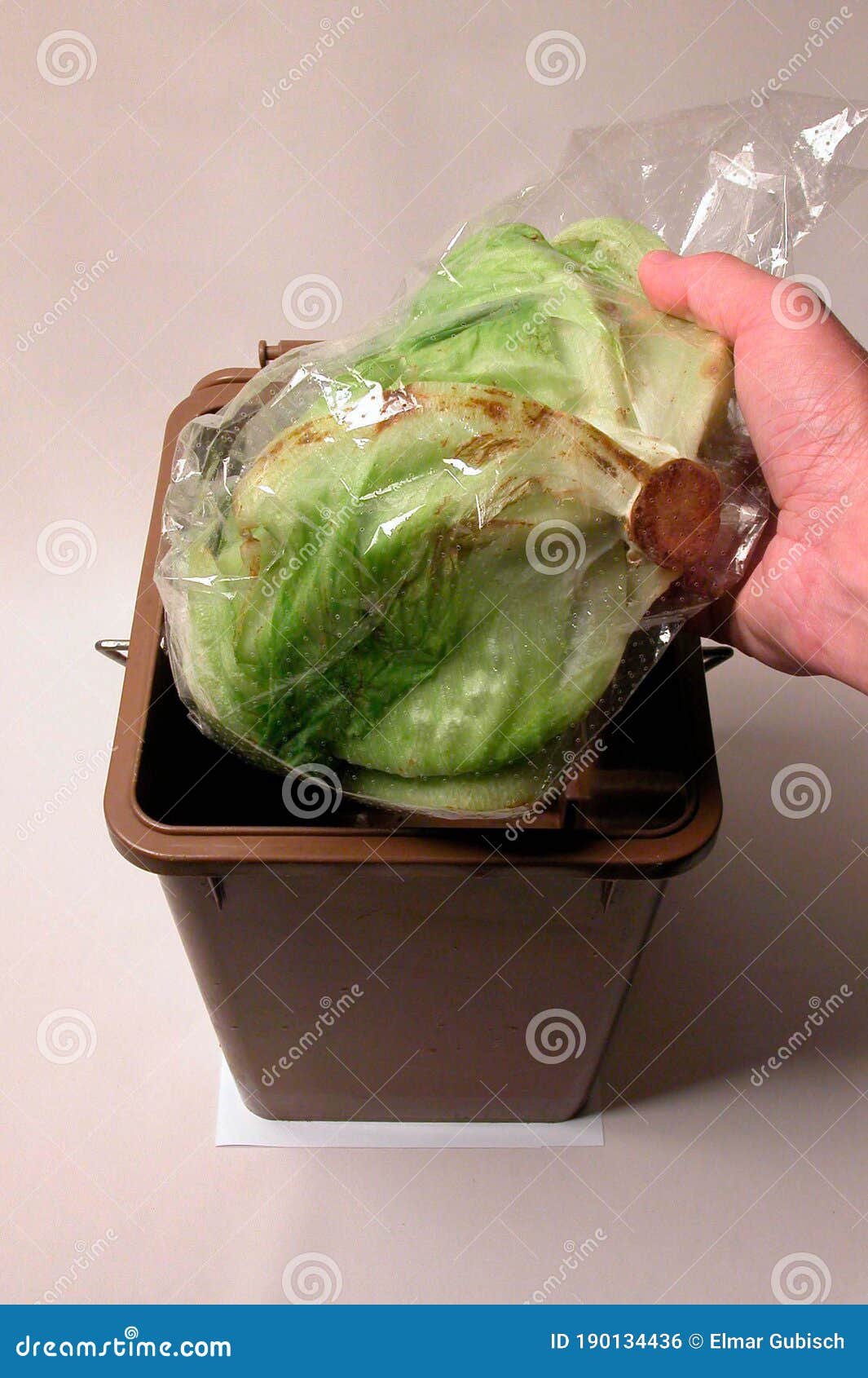 Spoiled Vegetable, Throwing Away Lettuce Stock Photo - Image of ...