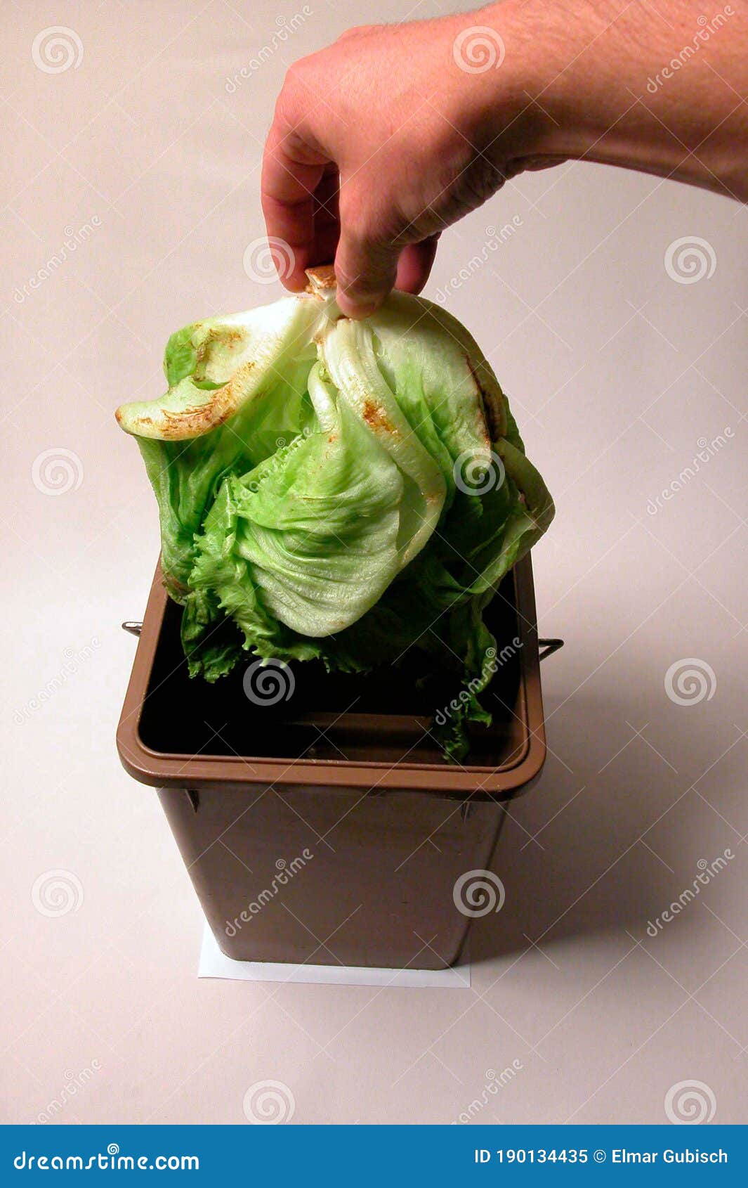 Spoiled Vegetable, Throwing Away Lettuce Stock Image - Image of ...