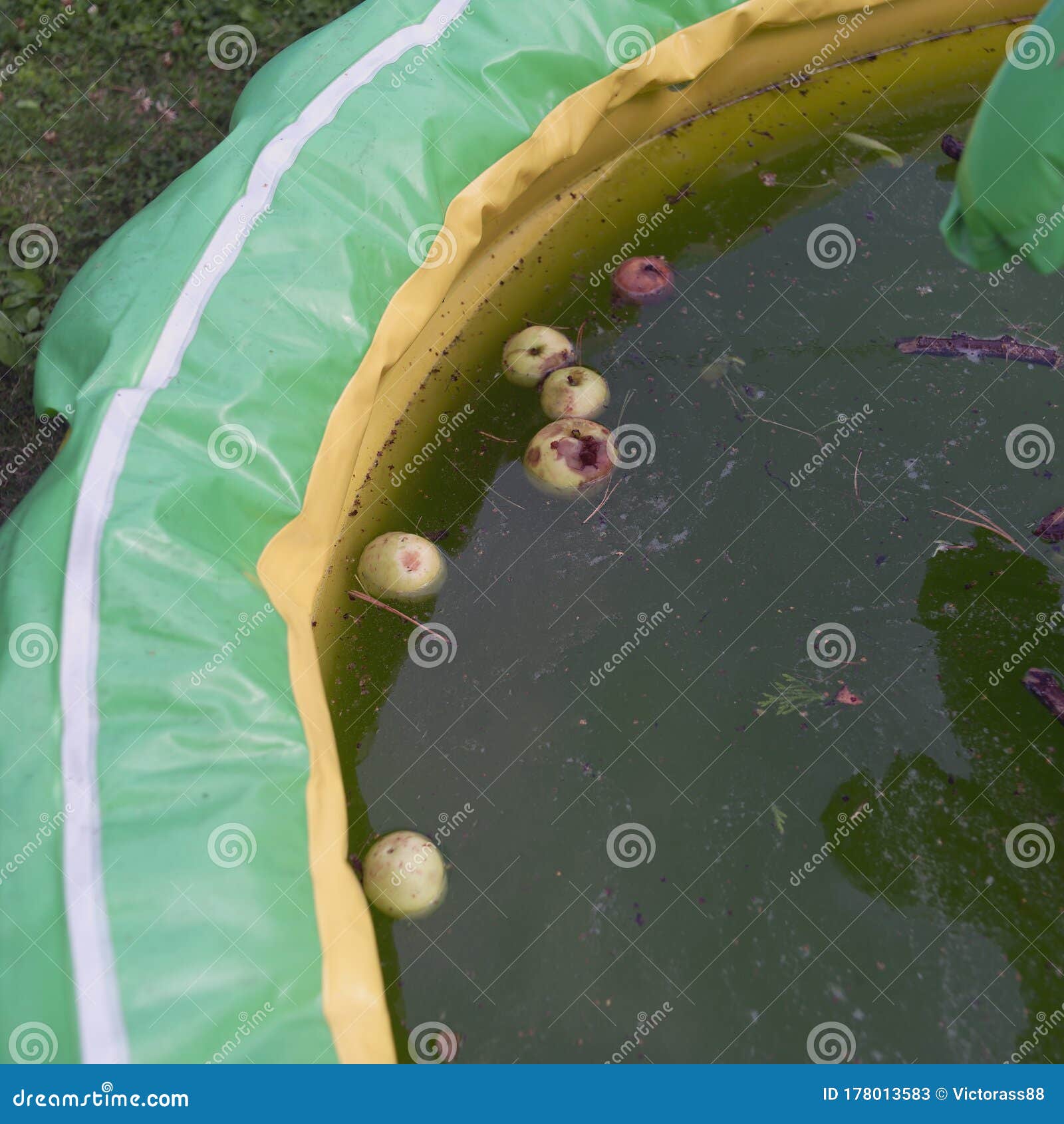 Spoiled water in pool stock image. Image of sludge, dirty - 178013583