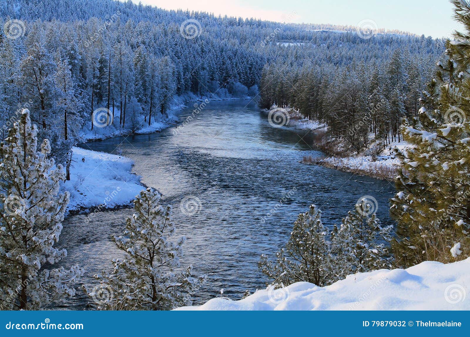Spokane River Flowing through a Snowy Forest Stock Photo - Image of ...