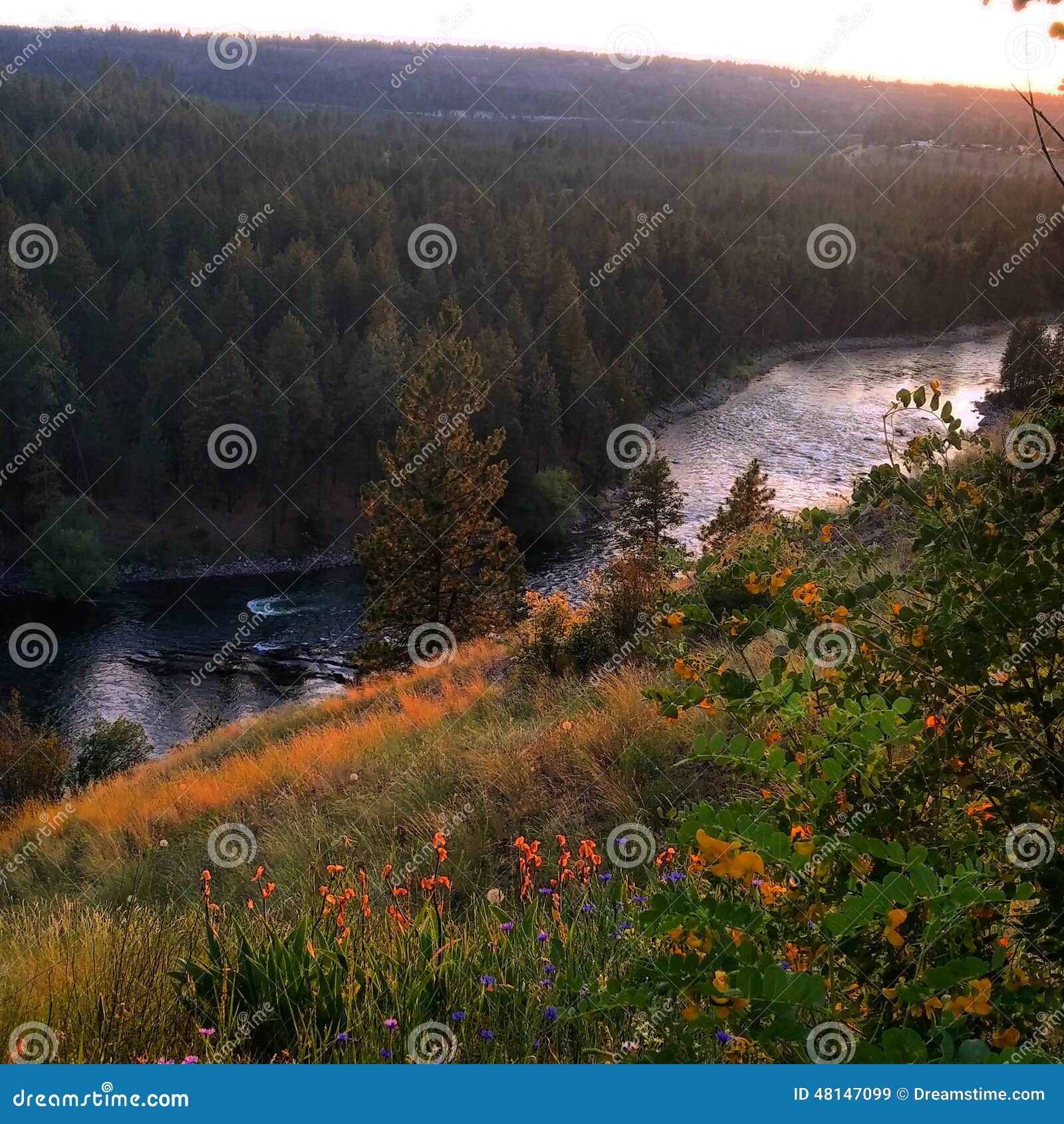 Spokane river stock image. Image of spokane, sunset, landscape - 48147099