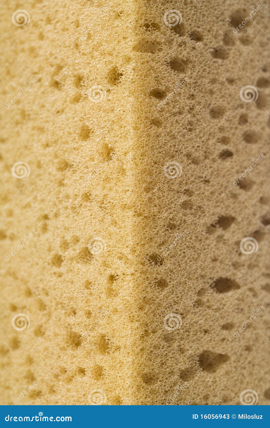 Sponge stock image. Image of closeup, absorbent, soaking - 16056943