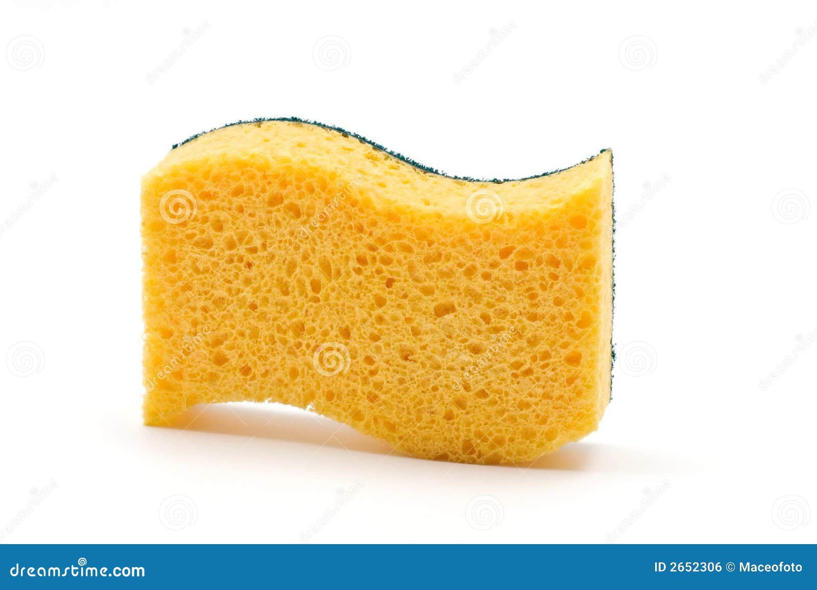 Sponge stock photo. Image of porous, freshness, plant - 2652306