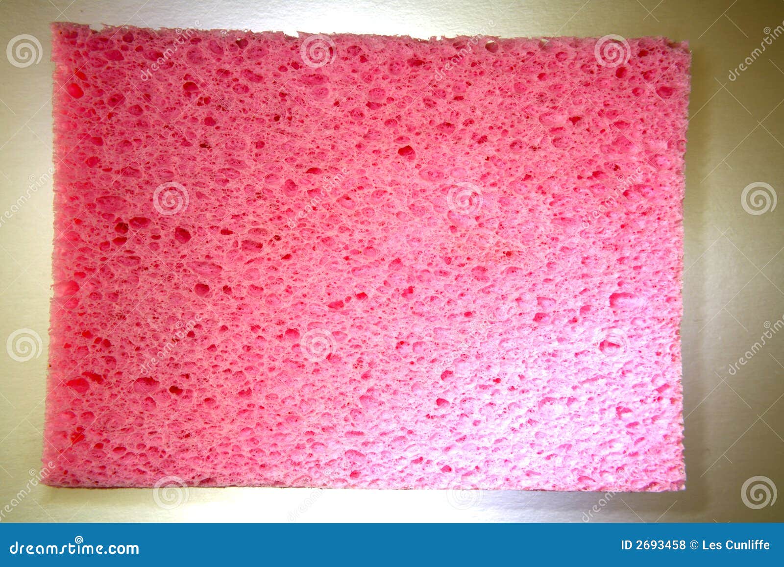 Sponge stock photo. Image of pink, sponge, colour, porous - 2693458