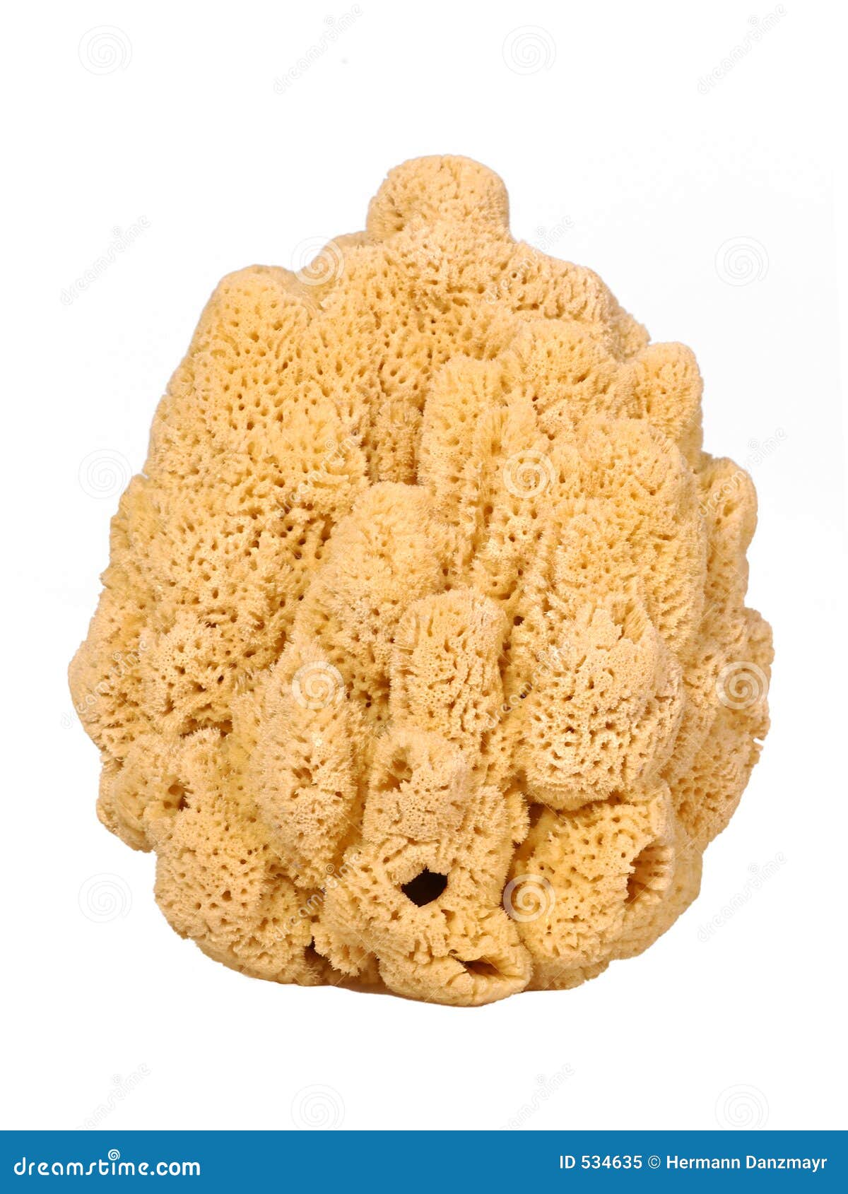 Sponge stock image. Image of isolated, bathing, cleaning - 534635